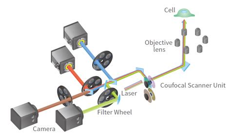 Cellvoyager Cv8000 High Content Screening System