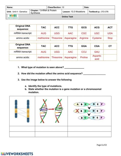 genetic mutation worksheet answer key ch13 3 mutation interactive
