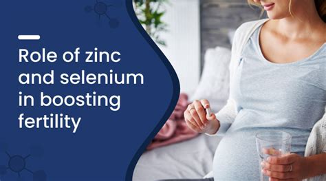 Zinc And Selenium For Fertility Boost Reproductive Health Naturally