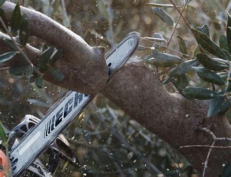 CS 3000 Top Handle Chain Saw ECHO