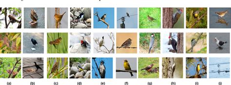 Table 1 From Identifying Habitat Elements From Bird Images Using Deep Convolutional Neural