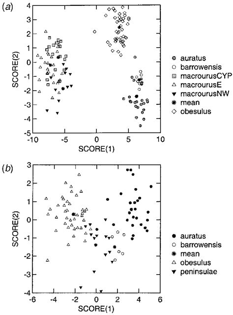 A Canonical Discriminant Function Scores For Factor 1 And Factor 2