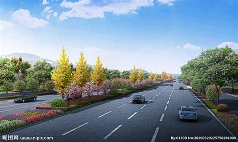 道路效果图景观效果图道路绿化图