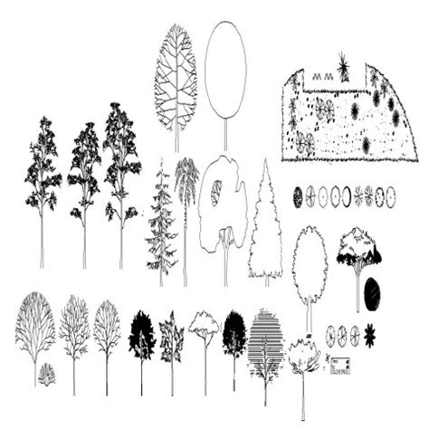 Trees And Plant Cad Blocks