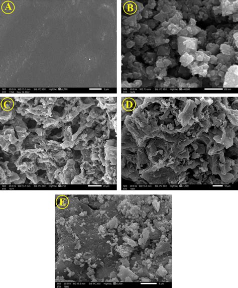 Engineering A Sustainable Cadmium Sulfidepolyethyleneimine Functionalized Biocharchitosan