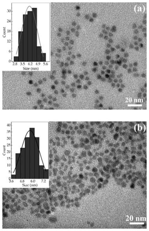 Tem Images And The Size Histograms Inset Of Cdse Core A And Download Scientific Diagram