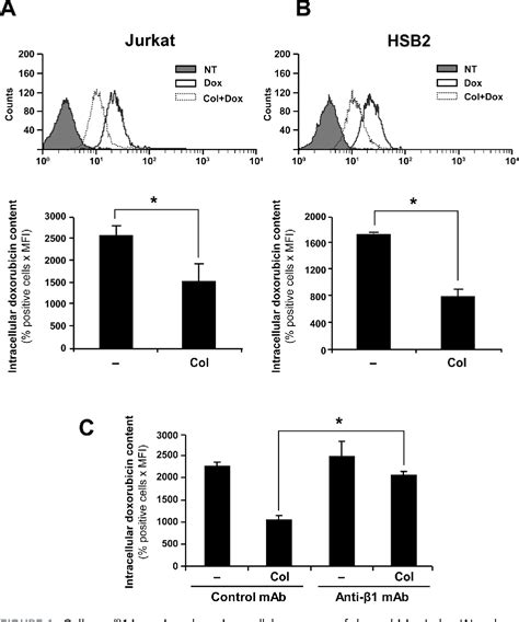 Table 1 From Collagen β1 Integrin Signaling Up Regulates The Abcc1 Mrp 1 Transporter In An Erk