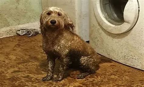 Milan Skoro On Linkedin Петак после Рамштајна