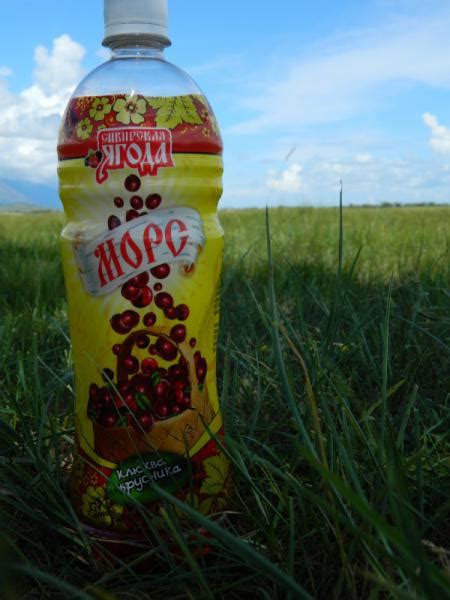 Морс Сибирская ягода | отзывы
