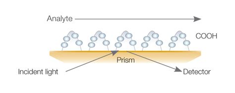 Proteon Sensor And Maintenance Chips Life Science Research Bio Rad