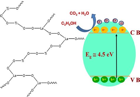 Schematic Representation Of La Incorporation In Tiotioti Linkage Download Scientific