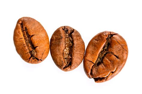 커피 원두 3 중간 볶은 커피 콩 매크로 보기 클로즈업 흰색 배경에 고립 0명에 대한 스톡 사진 및 기타 이미지 0명 갈색 개체 그룹 Istock