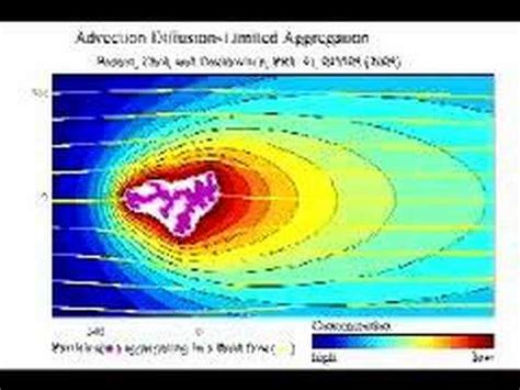 Advection Diffusion Limited Aggregation YouTube