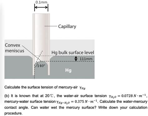 Solved O Lmm Capillary Convex Meniscus Hg Bulk Surface Level Lllmm J1408 Hg Calculate The