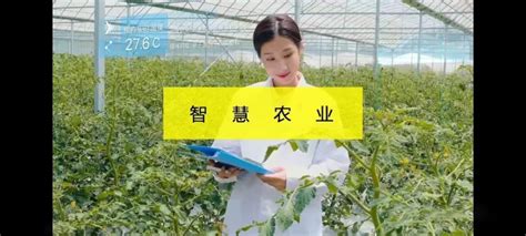 By组态 Web组态 插件 智慧建筑