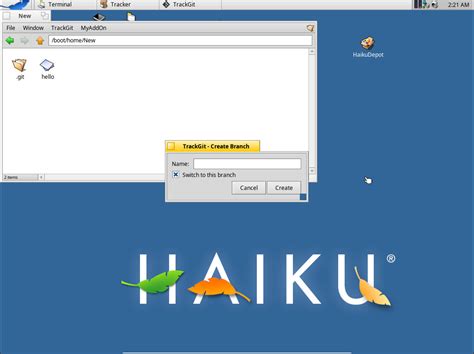 Gsoc 2018 Trackgit Progress Report 11 Haiku Project
