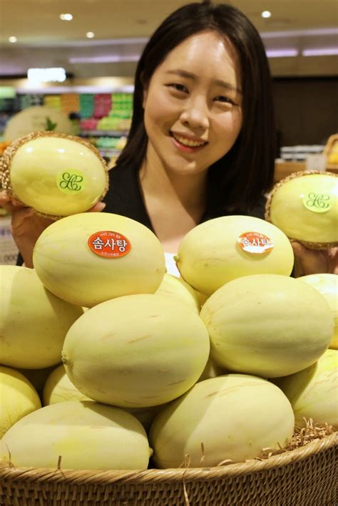 롯데백화점 신품종 솜사탕 멜론 판매 한국경제