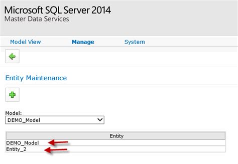Sql Server Master Data Services Mds Custom Delete Stored Procedure