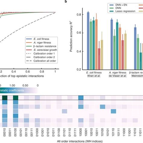 Predicting Bacterial Fitness And Inferring Epistatic Interactions In Download Scientific
