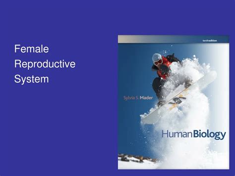 PPT Female Reproductive System PowerPoint Presentation Free Download ID