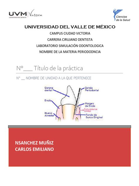 Pract6 Curetas Gracey Pdf Laboratorios Odontología