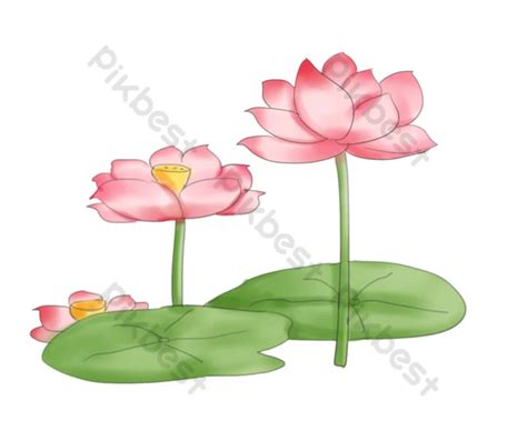 연꽃 일러스트 Png Psd 무료 다운로드 Pikbest