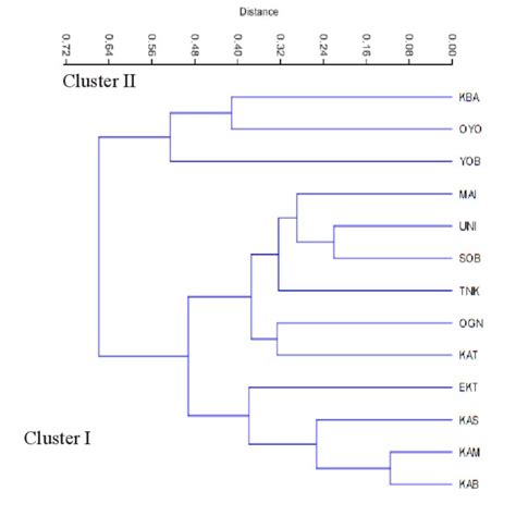 cluster analysis upgma dendrogram of 13 dipcadi filamentosum