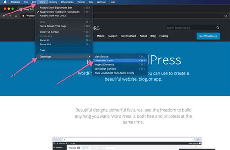 How To View Console Log Errors Kadence Wp Documentation