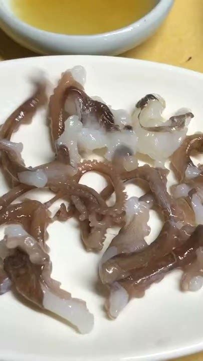 잘린 문어 다리는 왜 꿈틀거리는 걸까 지식 웃긴영상 Youtube