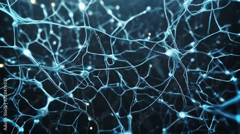 structure of neural tissue consisting of neurons nerve cells cell