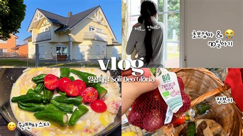 Sub•vlog🇩🇪 64 독일사는 초보엄마의 육아 Vlog 70일 아기👶🏻 ️ 장보고 집밥하는 일상 힐링산책🌱 원팬 현미파스타 Lidl양고기추천 가지덮밥