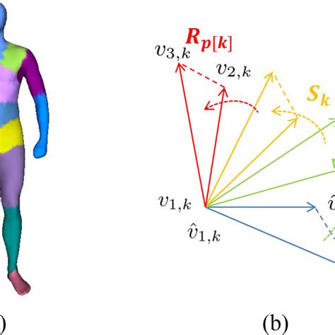 Human Partition And Triangle Based Deformation A We Divide The Human