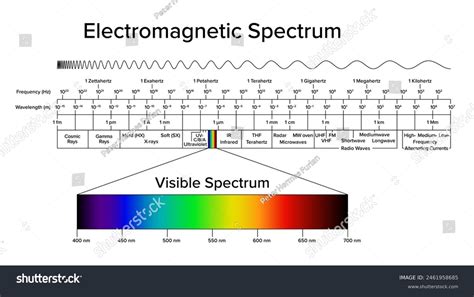 Diagram Electromagnetic Spectrum Visible Spectrum Light Stock Vector
