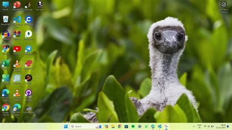 Manish Kumar On Linkedin Projectmanagement Webdevelopment