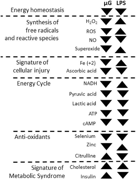 Correlative Network Analysis Indicates Predictive Activation And