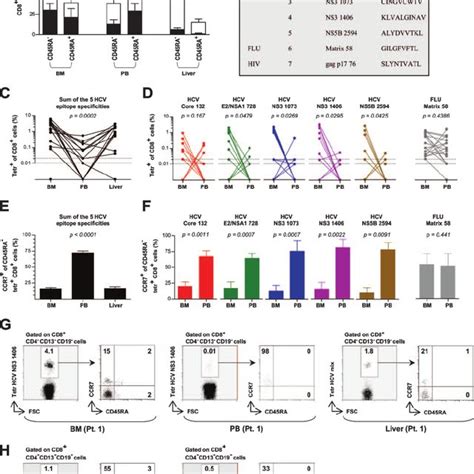 Frequency And Memory Phenotype Of Nonspecific And Virus Specific Cd8 ϩ Download Scientific