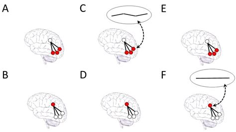 8 Perfect Experiments About Conscious Experience To See If Download Scientific Diagram
