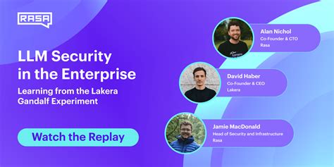 Llm Security In The Enterprise Learning From Ai Security Experts