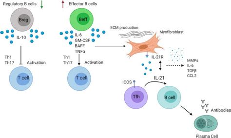 Innovations Unveiled The Evolving Landscape Of Scleroderma Diagnosis And Treatment Market