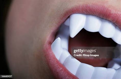 Canine Teeth Human Photos And Premium High Res Pictures Getty Images
