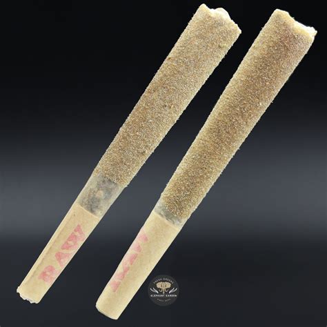 Kief Dipped Pre Rolls 2 Pack 15 Flavours Elephant Garden