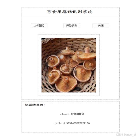 基于卷积神经网络的可食用蘑菇识别系统，resnet50，inceptionv3模型【pytorch框架python源码】 Csdn博客