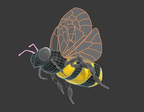 Bee 3d Model 45 Max Free3d