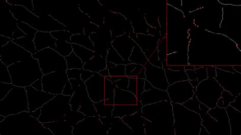 Extraction Of Endpoints And Junctions Download Scientific Diagram