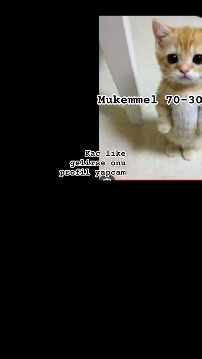 Kac Like Gelirse Onu Profil Yapcam Youtube