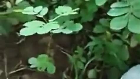 Free Desi Outdoor Sex Porn Videos 3 Xhamster