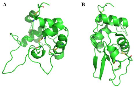 Figure S6 A The Representative Structure Of The Folding Intermediate Figure S6 A The Representative Structure Of The Folding Intermediate