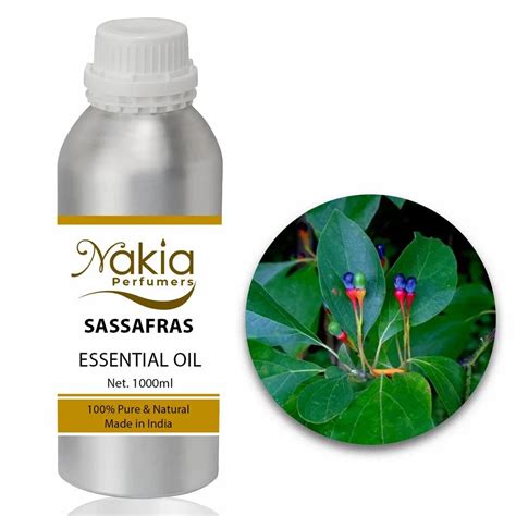 Sassafras Essential Oil At ₹ 3200kg New Delhi Id 2854198279262