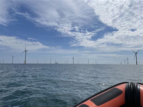 Malin Malm Posted On Linkedin