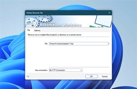 Delete Remote File Main Features